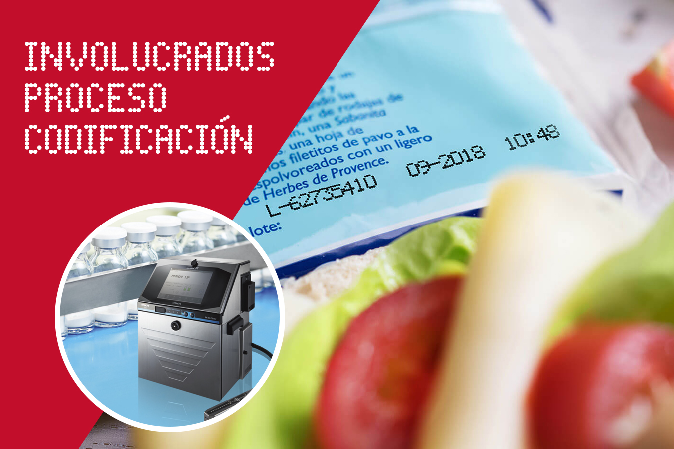 ¿Quiénes están involucrados en el proceso de codificación? - Dicotep